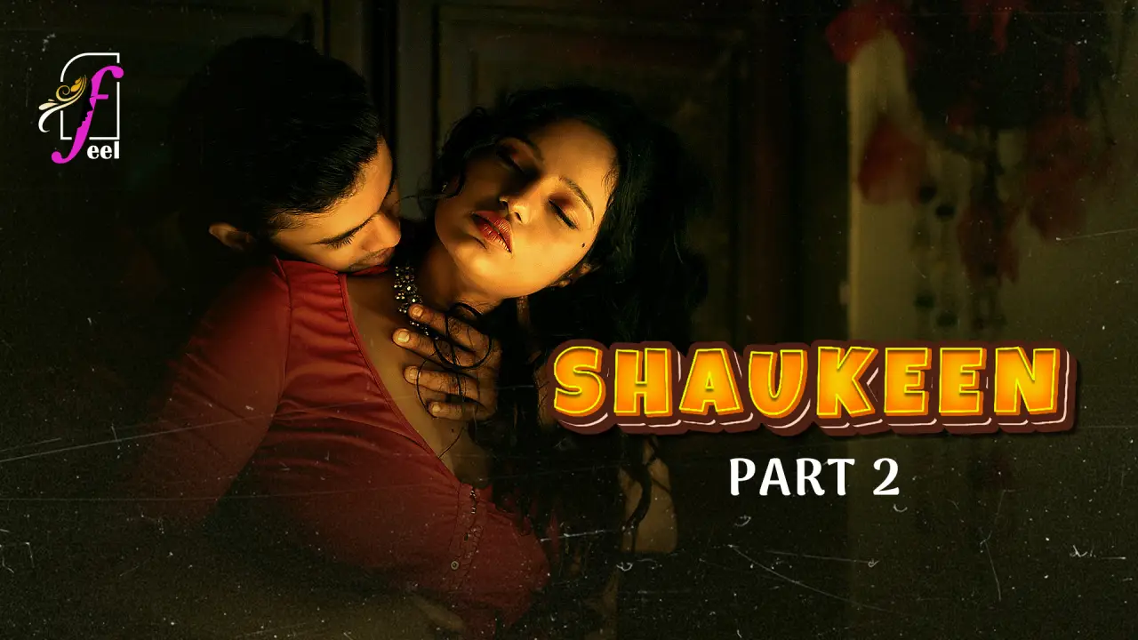 Watch Shaukeen Web Series (Feel)